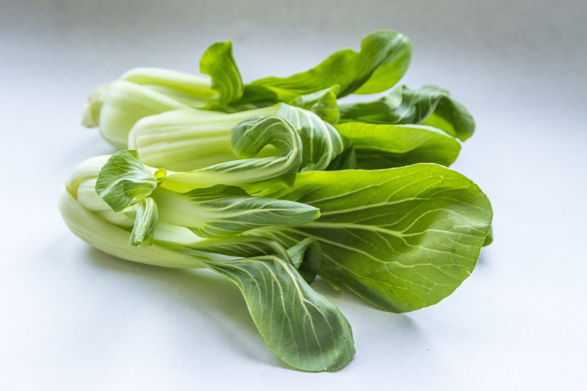 Pak choi, mizuka, ruchetta... Come coltivare le insalate piccanti ...