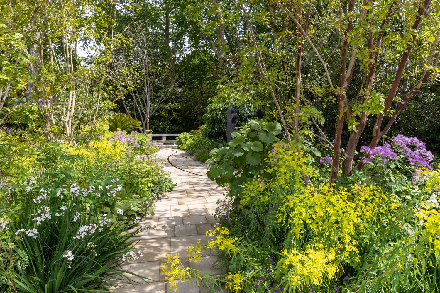 Chelsea Flower Show 2026: i giardini più belli di Londra - Gardenia